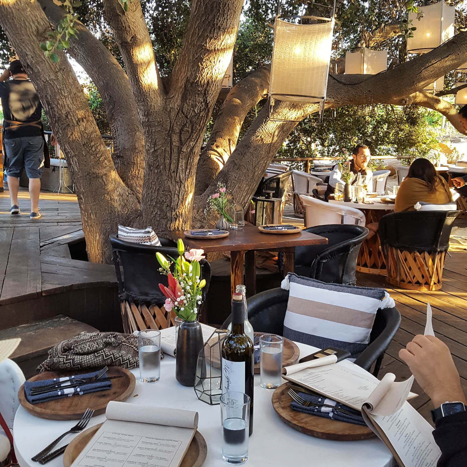 3 Days in Valle de Guadalupe » Barbara Feldman